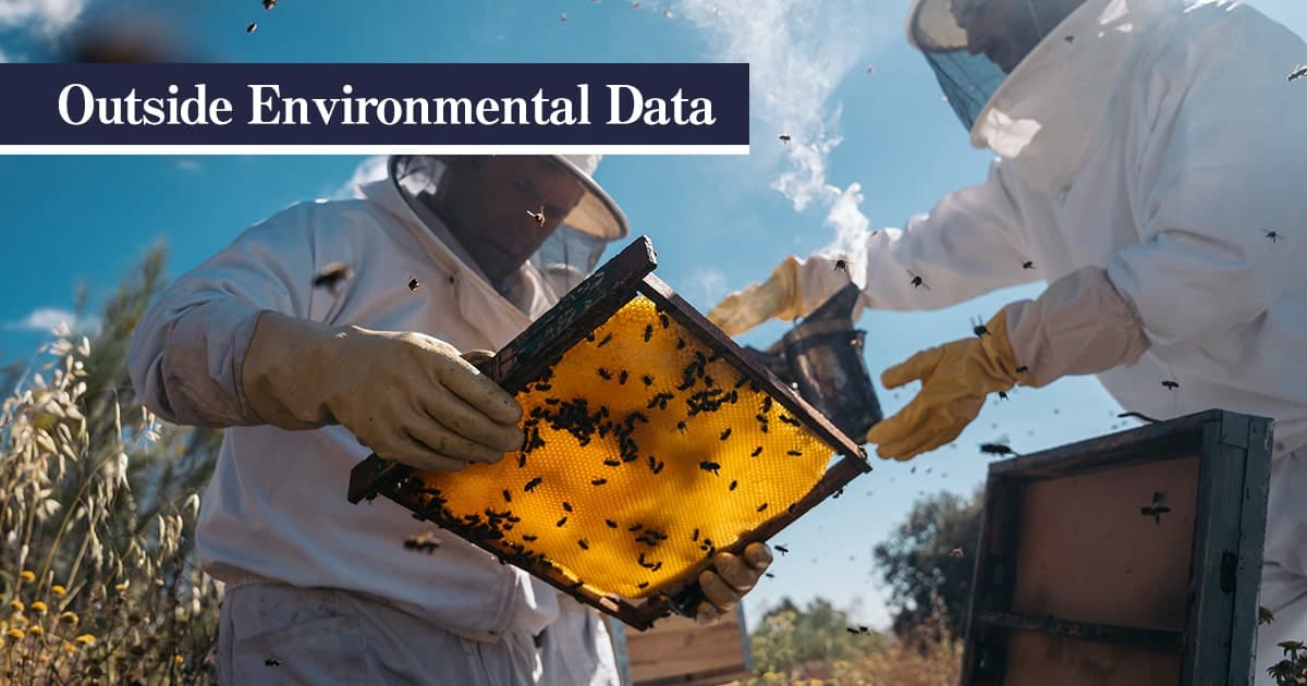 Outside Environmental Data | Automated Data Loggers | Lascar