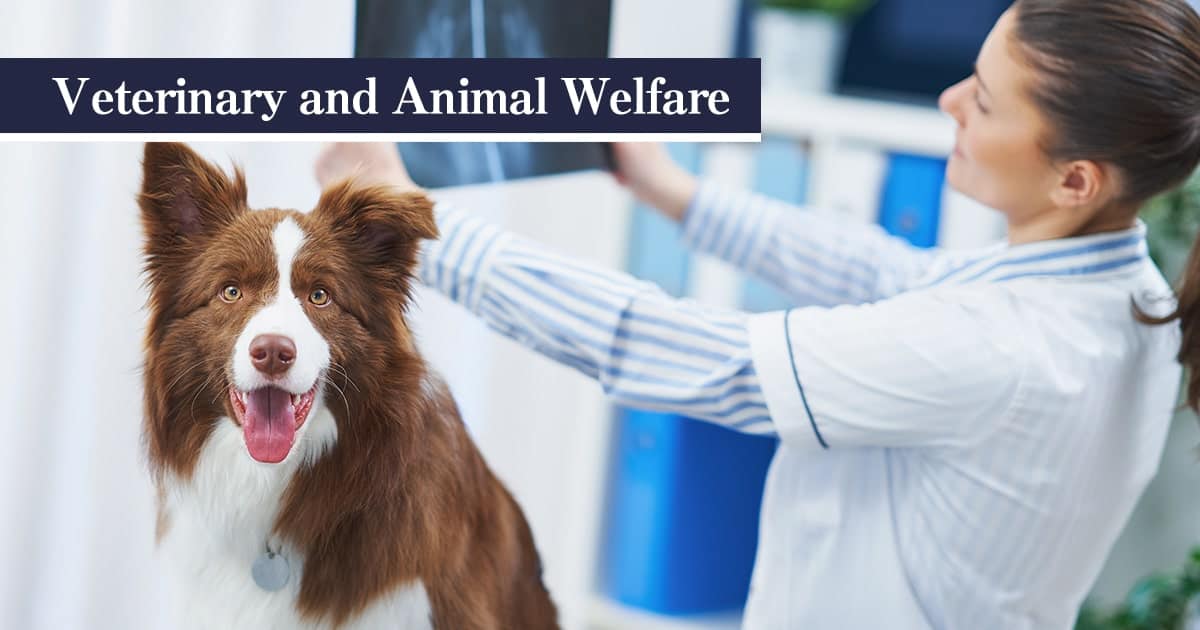 Data Logging For Veterinary And Animal Welfare | Lascar