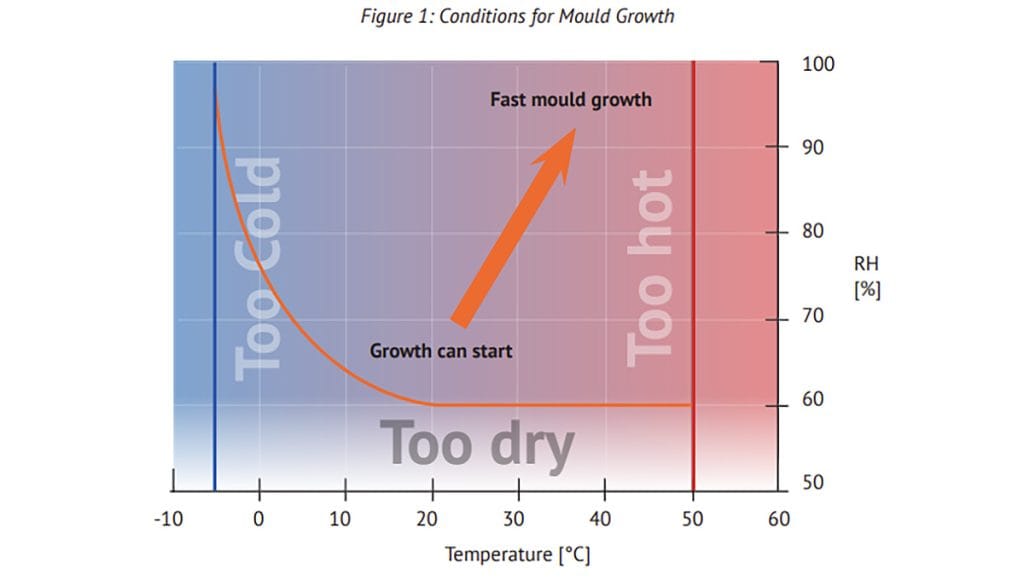 Conditions that Cause Mold Growth | Humidity Data Loggers