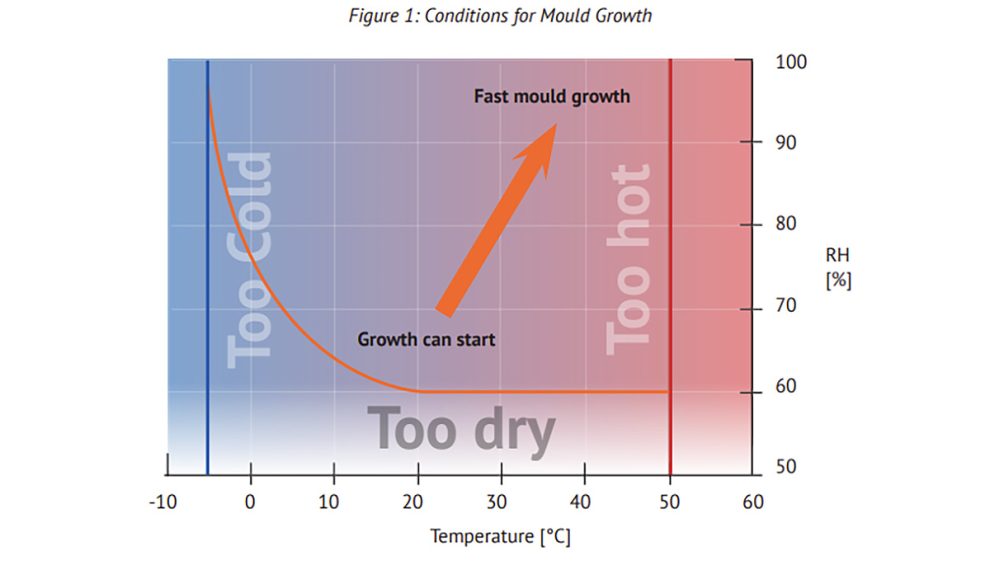Conditions that Cause Mold Growth | Humidity Data Loggers