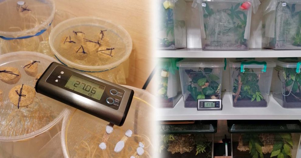 Data Logging Success Stories | Lascar Case Studies | EasyLog