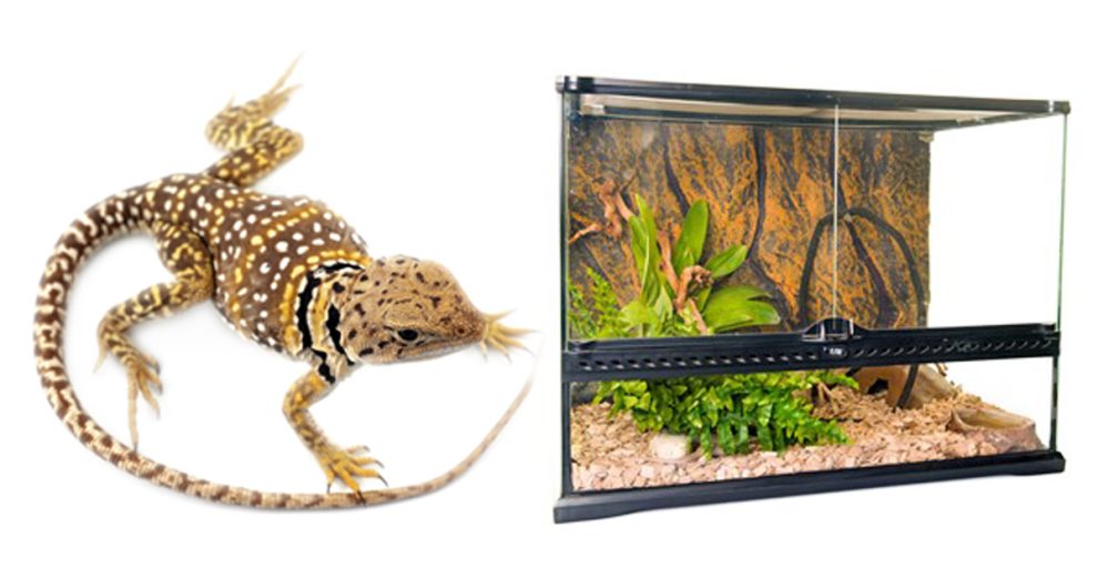 Data Logging Success Stories | Lascar Case Studies | EasyLog