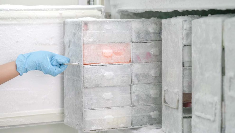 Temperature Monitoring Deep Frozen Vaccines | Vaccine Logger
