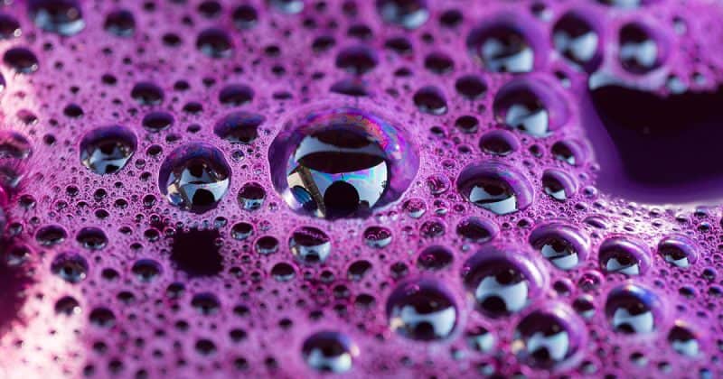 Data Logging Success Stories | Lascar Case Studies | EasyLog