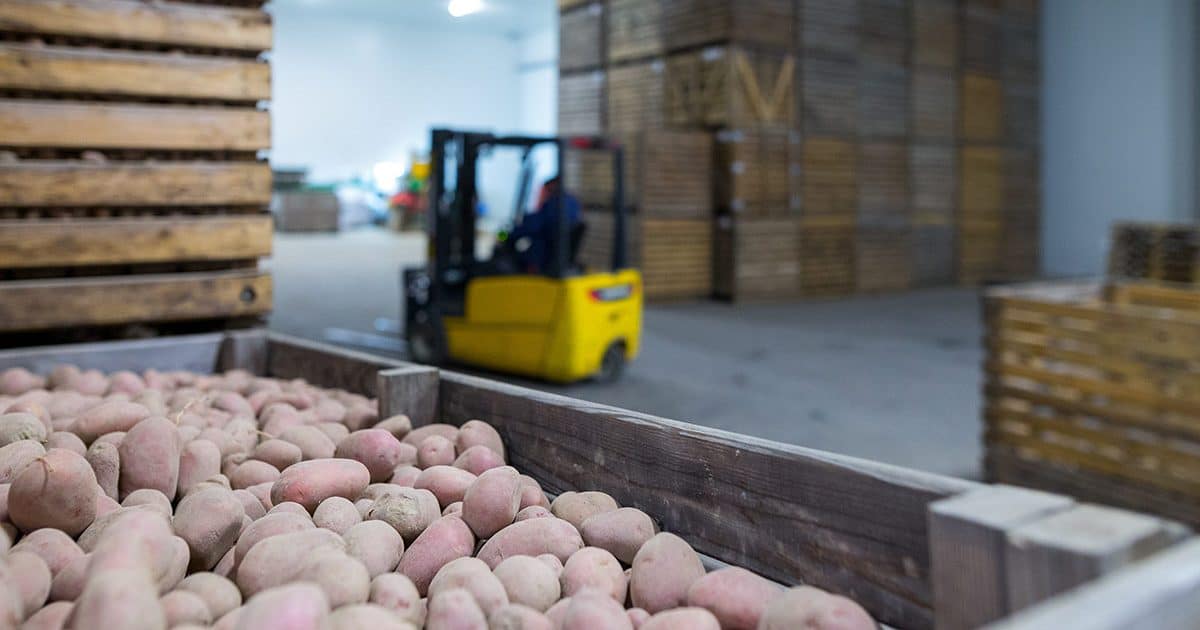 Accurate Temperature Monitoring in Potato Storage | Lascar